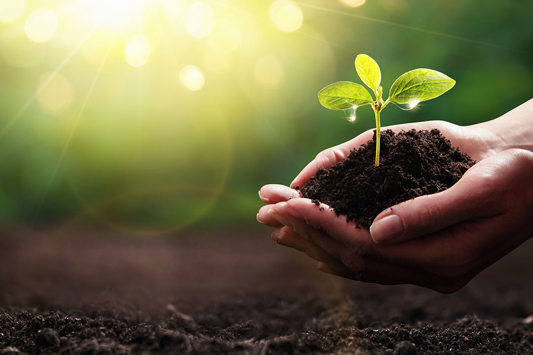 Les 5 gestes responsables à adopter au quotidien